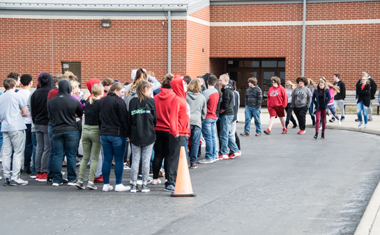 Local Walk Out Day protest ‘civics lesson’ « The VW independent